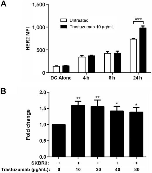 Trastuzumab Increases HER2 Uptake and Cross-Presentation by Dendritic ...