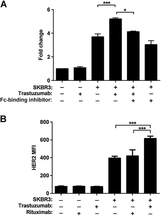 Trastuzumab Increases HER2 Uptake and Cross-Presentation by Dendritic ...
