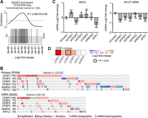 Targeting a Single Alternative Polyadenylation Site Coordinately Blocks ...