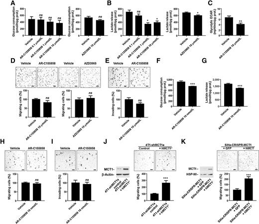 Monocarboxylate Transporter MCT1 Promotes Tumor Metastasis ...