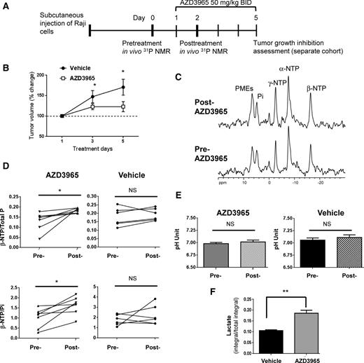 MCT1 Inhibitor AZD3965 Increases Mitochondrial Metabolism, Facilitating ...