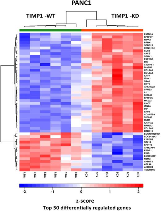Gemcitabine-Induced TIMP1 Attenuates Therapy Response and Promotes ...