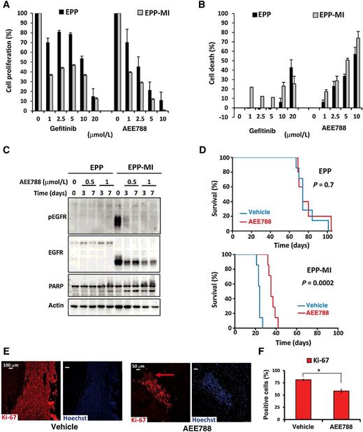 Novel SEC61G–EGFR Fusion Gene in Pediatric Ependymomas Discovered by ...