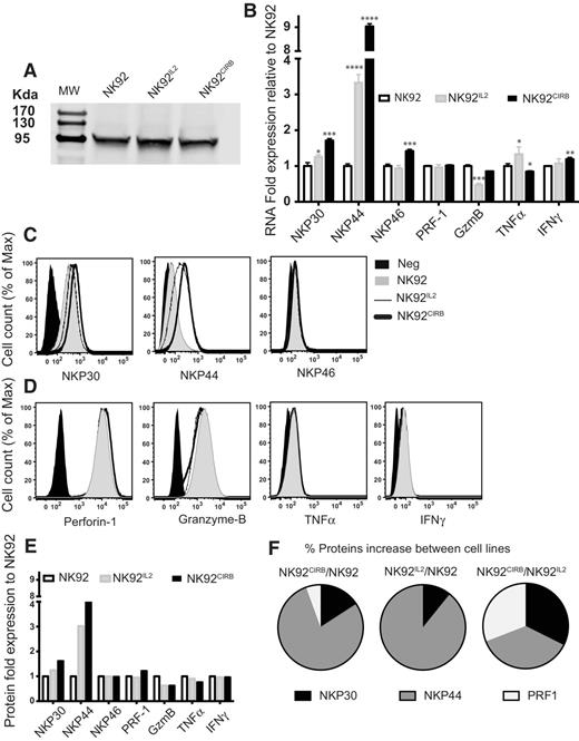 Tethering IL2 to Its Receptor IL2Rβ Enhances Antitumor Activity and ...