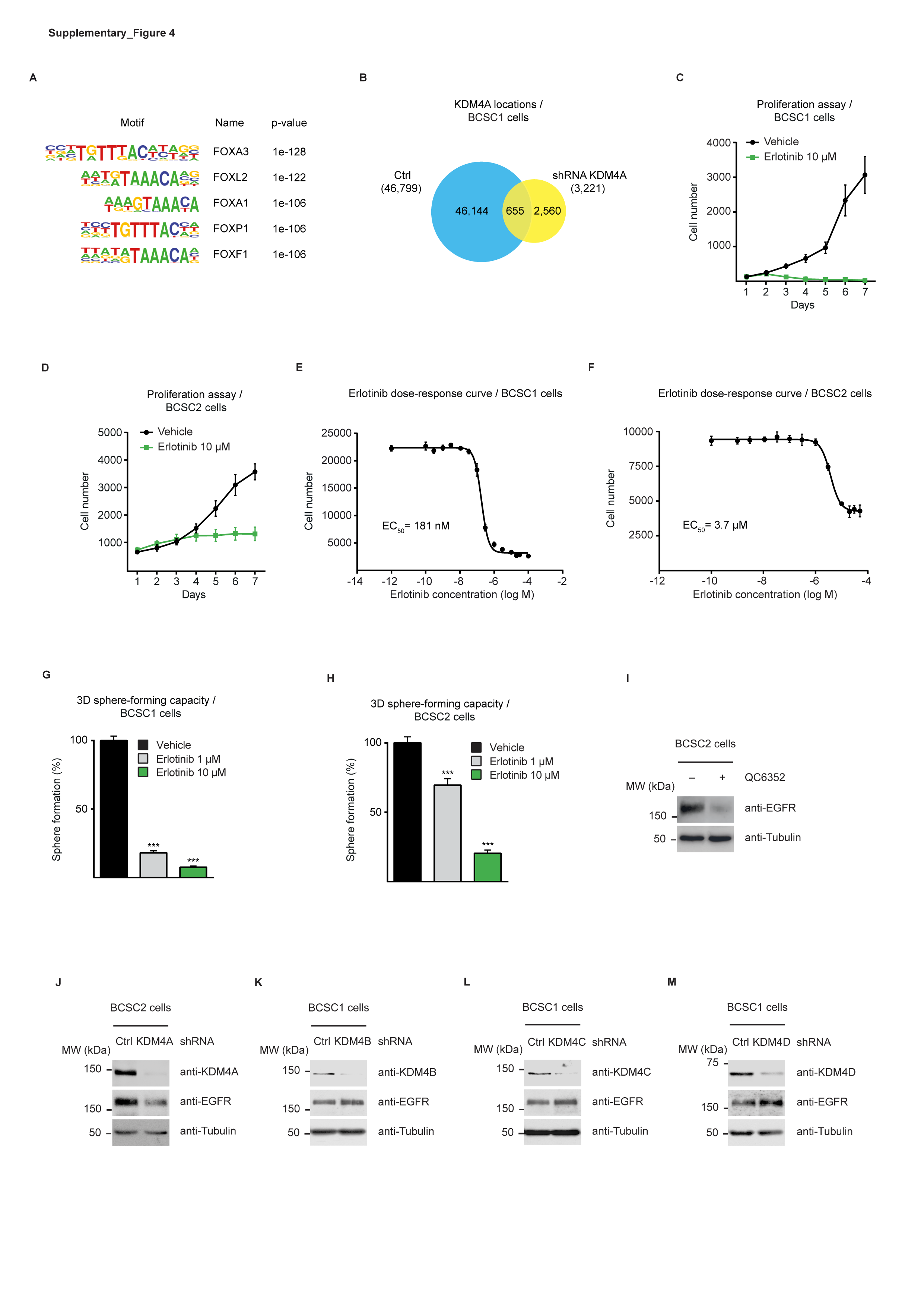KDM4 Inhibition Targets Breast Cancer Stem–like Cells | Cancer Research ...