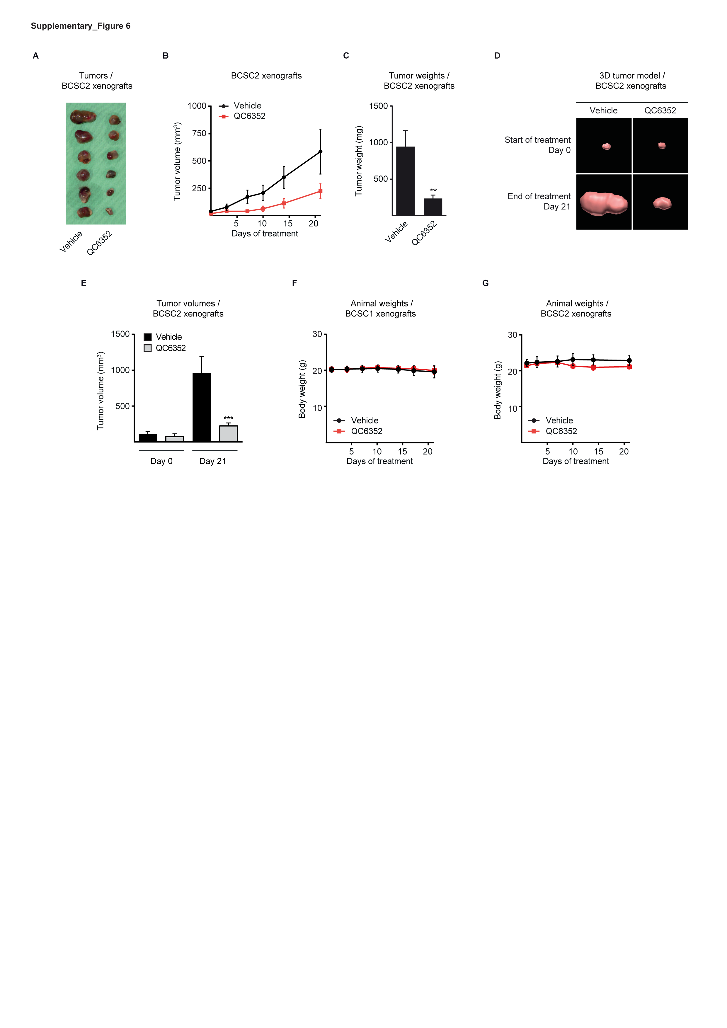 KDM4 Inhibition Targets Breast Cancer Stem–like Cells | Cancer Research ...