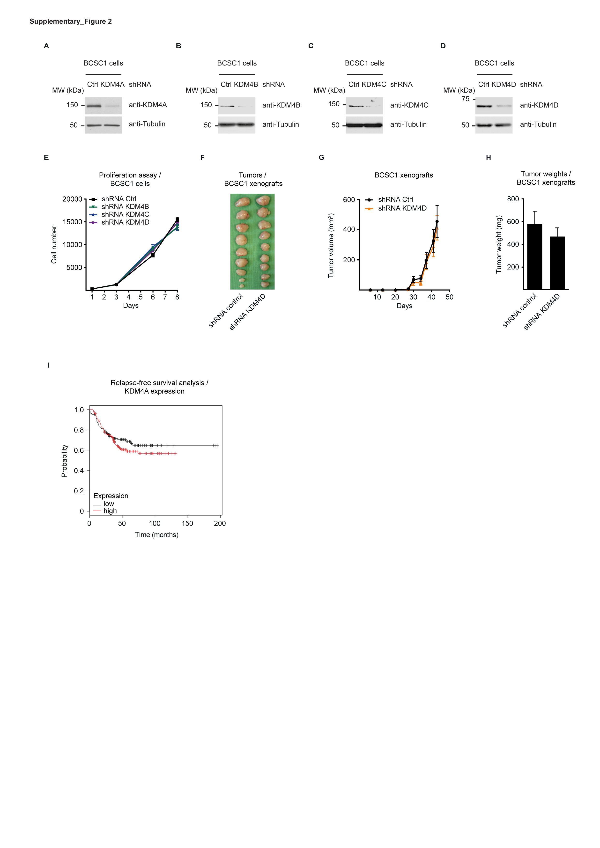 KDM4 Inhibition Targets Breast Cancer Stem–like Cells | Cancer Research ...
