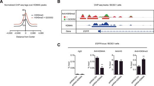 KDM4 Inhibition Targets Breast Cancer Stem–like Cells | Cancer Research ...