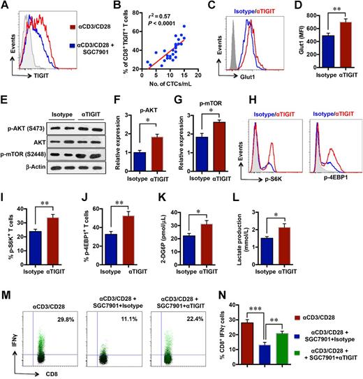 CD155T/TIGIT Signaling Regulates CD8+ T-cell Metabolism and Promotes ...