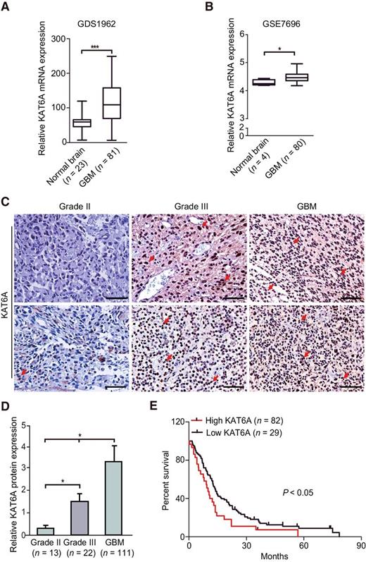 Histone Acetyltransferase KAT6A Upregulates PI3K/AKT Signaling through ...