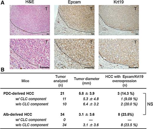Proliferating EpCAM-Positive Ductal Cells in the Inflamed Liver Give ...