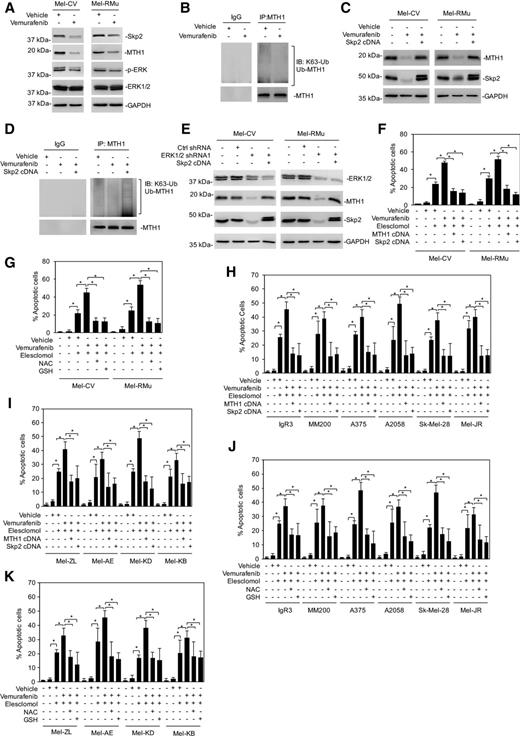 Skp2-Mediated Stabilization of MTH1 Promotes Survival of Melanoma Cells ...