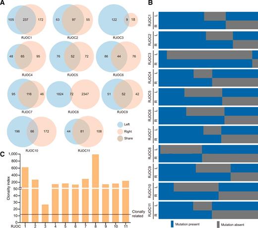 Clonality, Heterogeneity, and Evolution of Synchronous Bilateral ...