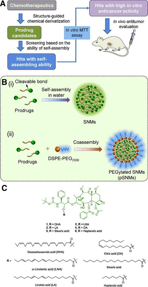 New Generation Nanomedicines Constructed from Self-Assembling Small ...