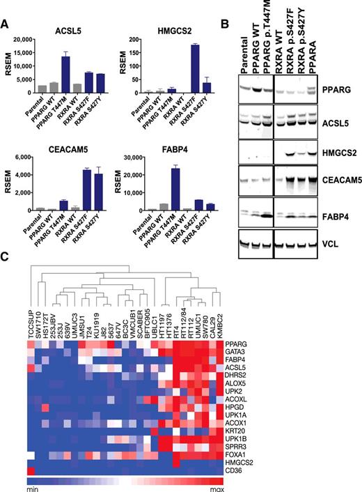 Genomic Activation of PPARG Reveals a Candidate Therapeutic Axis in ...