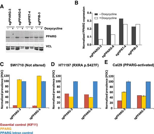 Genomic Activation of PPARG Reveals a Candidate Therapeutic Axis in ...