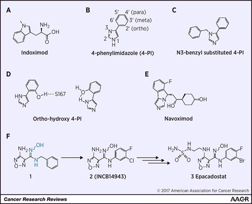 Discovery of IDO1 Inhibitors: From Bench to Bedside | Cancer Research ...