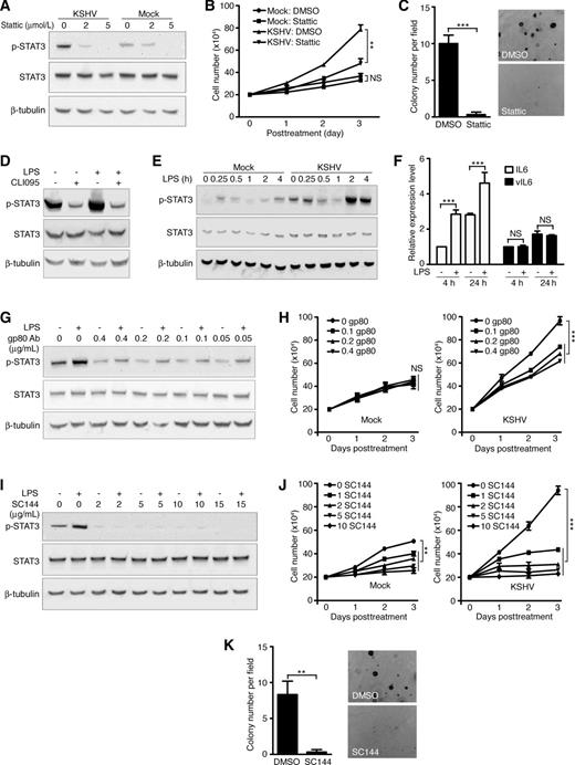 TLR4-Mediated Inflammation Promotes KSHV-Induced Cellular ...