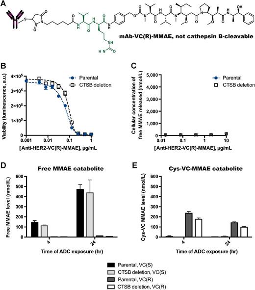 Cathepsin B Is Dispensable for Cellular Processing of Cathepsin B ...