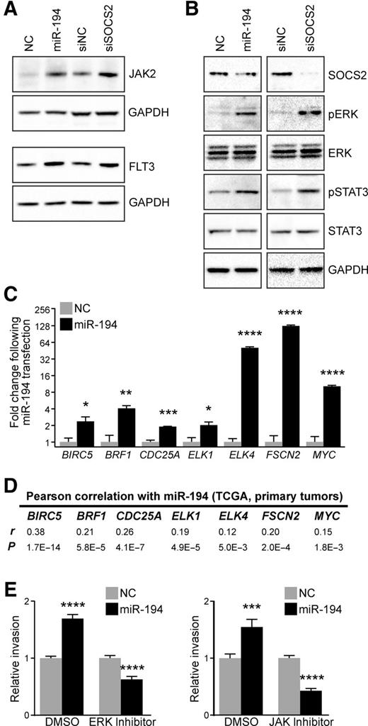 MicroRNA-194 Promotes Prostate Cancer Metastasis by Inhibiting SOCS2 ...