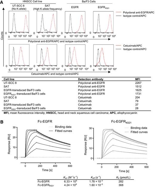 Cetuximab Resistance in Head and Neck Cancer Is Mediated by EGFR-K521 ...