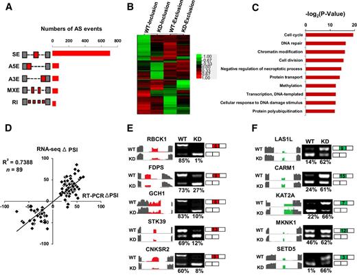 SRSF2 Regulates Alternative Splicing to Drive Hepatocellular Carcinoma ...