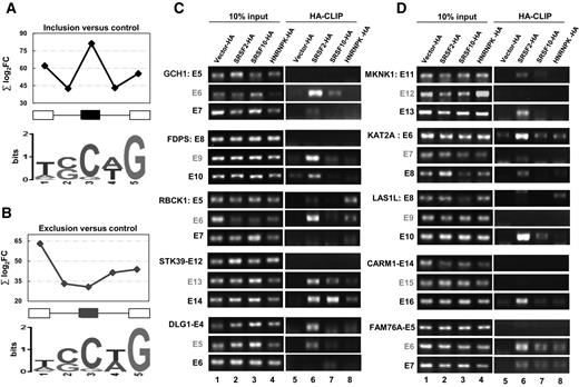 SRSF2 Regulates Alternative Splicing to Drive Hepatocellular Carcinoma ...