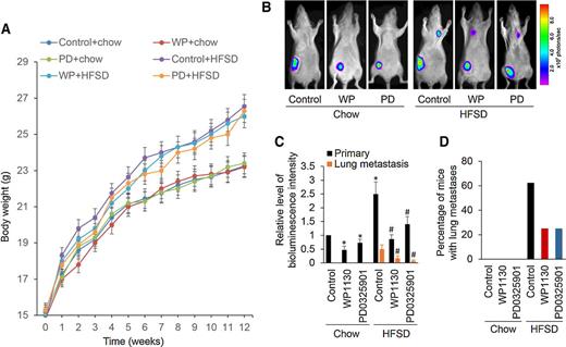 Aberrant Phosphorylation of SMAD4 Thr277-Mediated USP9x–SMAD4 ...