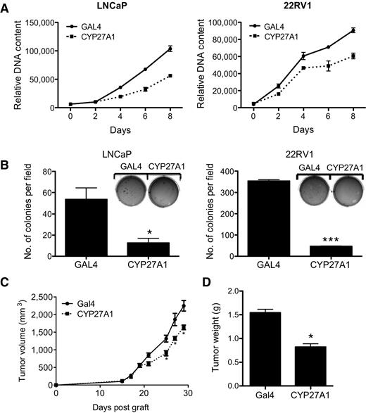 CYP27A1 Loss Dysregulates Cholesterol Homeostasis in Prostate Cancer ...