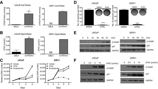 CYP27A1 Loss Dysregulates Cholesterol Homeostasis in Prostate Cancer ...