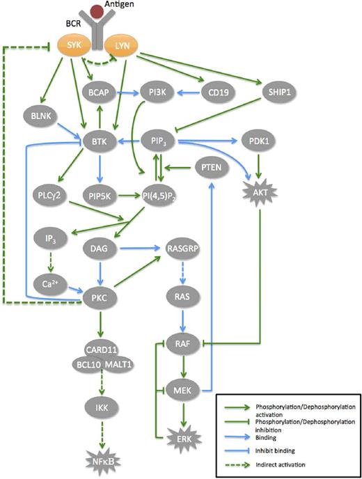 Effective Combination Therapies for B-cell Lymphoma Predicted by a ...