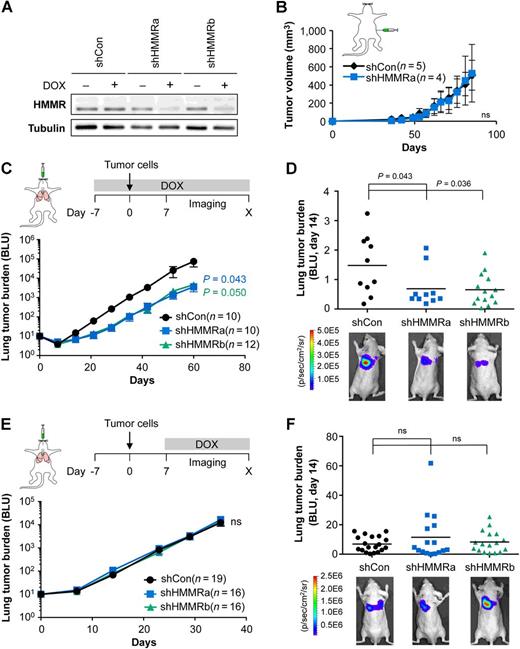 Extracellular Matrix Receptor Expression in Subtypes of Lung ...
