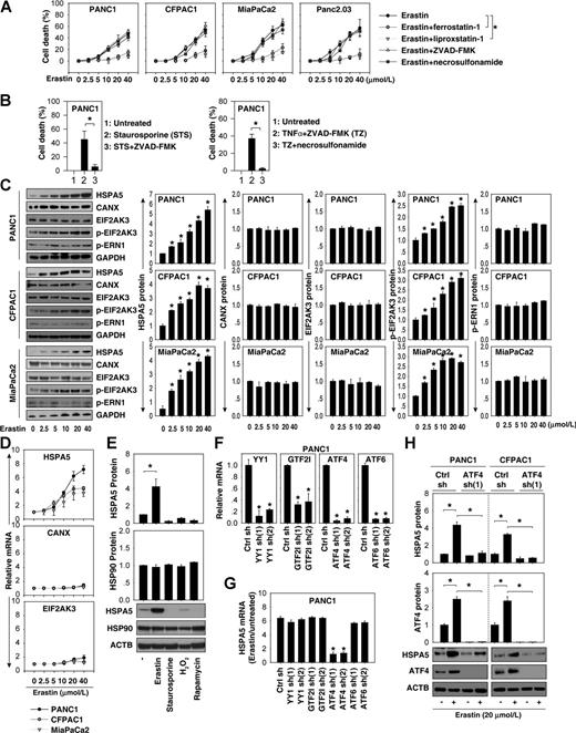 HSPA5 Regulates Ferroptotic Cell Death in Cancer Cells | Cancer ...