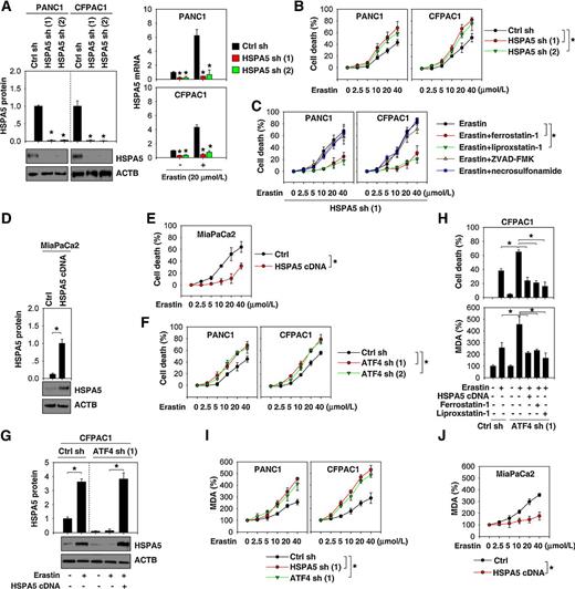 HSPA5 Regulates Ferroptotic Cell Death in Cancer Cells | Cancer ...