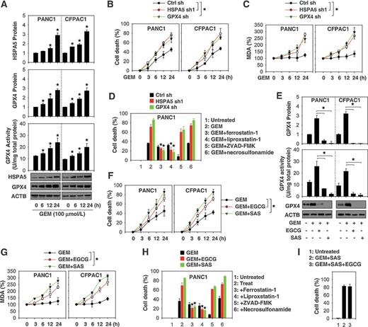 HSPA5 Regulates Ferroptotic Cell Death in Cancer Cells | Cancer ...