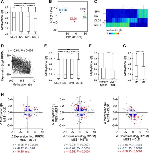 Cellular Model of Colon Cancer Progression Reveals Signatures of mRNAs ...