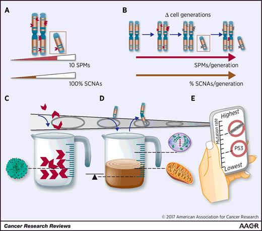 Genomic Instability in Cancer: Teetering on the Limit of Tolerance | Cancer Research | American ...