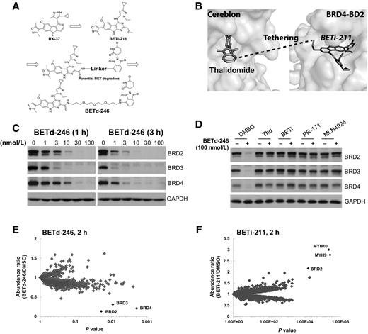 Targeted Degradation of BET Proteins in Triple-Negative Breast Cancer ...
