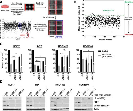 Kinome-Wide RNA Interference Screen Reveals a Role for PDK1 in Acquired ...