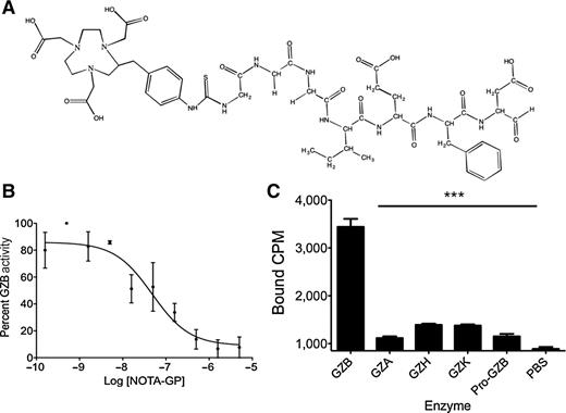 Granzyme B PET Imaging as a Predictive Biomarker of Immunotherapy ...