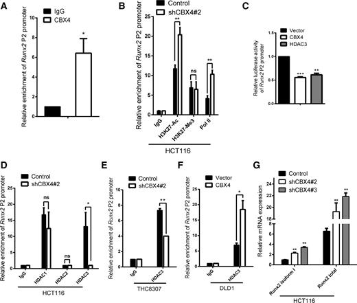 Role of CBX4 in the Colorectal Carcinoma Metastasis—Response | Cancer ...
