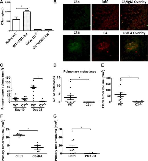 Complement Activation via a C3a Receptor Pathway Alters CD4+ T ...