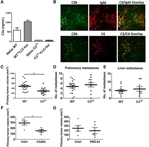 Complement Activation via a C3a Receptor Pathway Alters CD4+ T ...