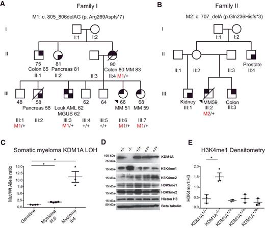 Germline Lysine-Specific Demethylase 1 (LSD1/KDM1A) Mutations Confer ...