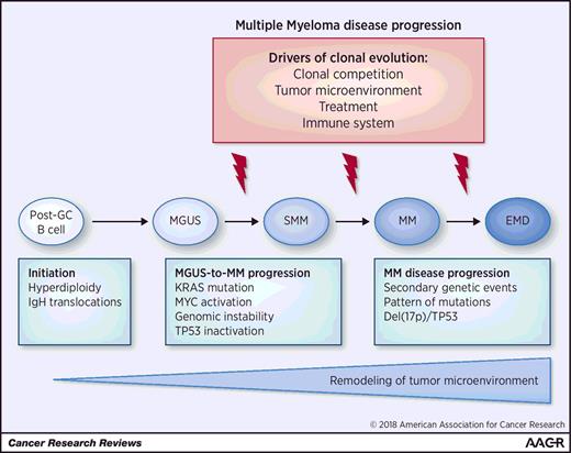 From MGUS to Multiple Myeloma, a Paradigm for Clonal Evolution of ...