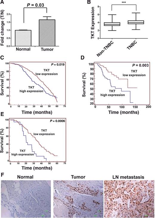 Transketolase Regulates the Metabolic Switch to Control Breast Cancer ...