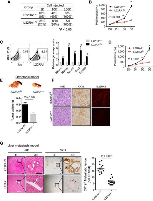 IL22RA1/STAT3 Signaling Promotes Stemness and Tumorigenicity in ...
