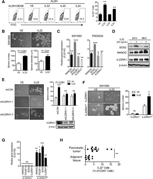 IL22RA1/STAT3 Signaling Promotes Stemness and Tumorigenicity in ...