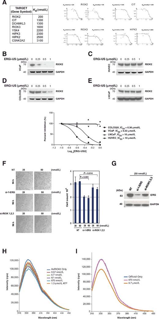 Identification of a Small Molecule That Selectively Inhibits ERG ...