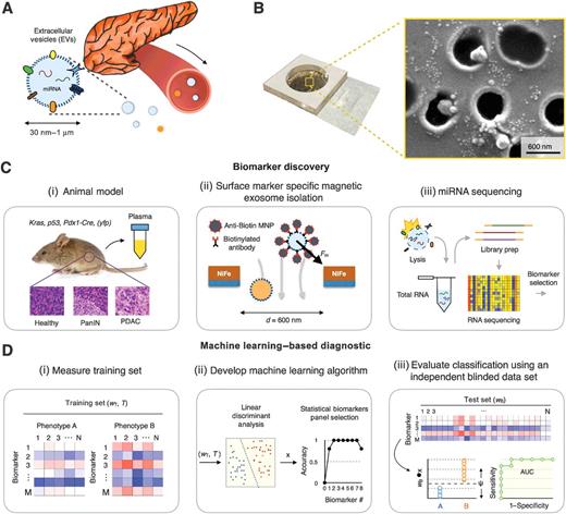 miRNA Profiling of Magnetic Nanopore–Isolated Extracellular Vesicles ...